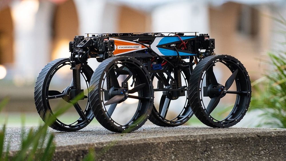 The Rise of the Robots and Its Implications for Business